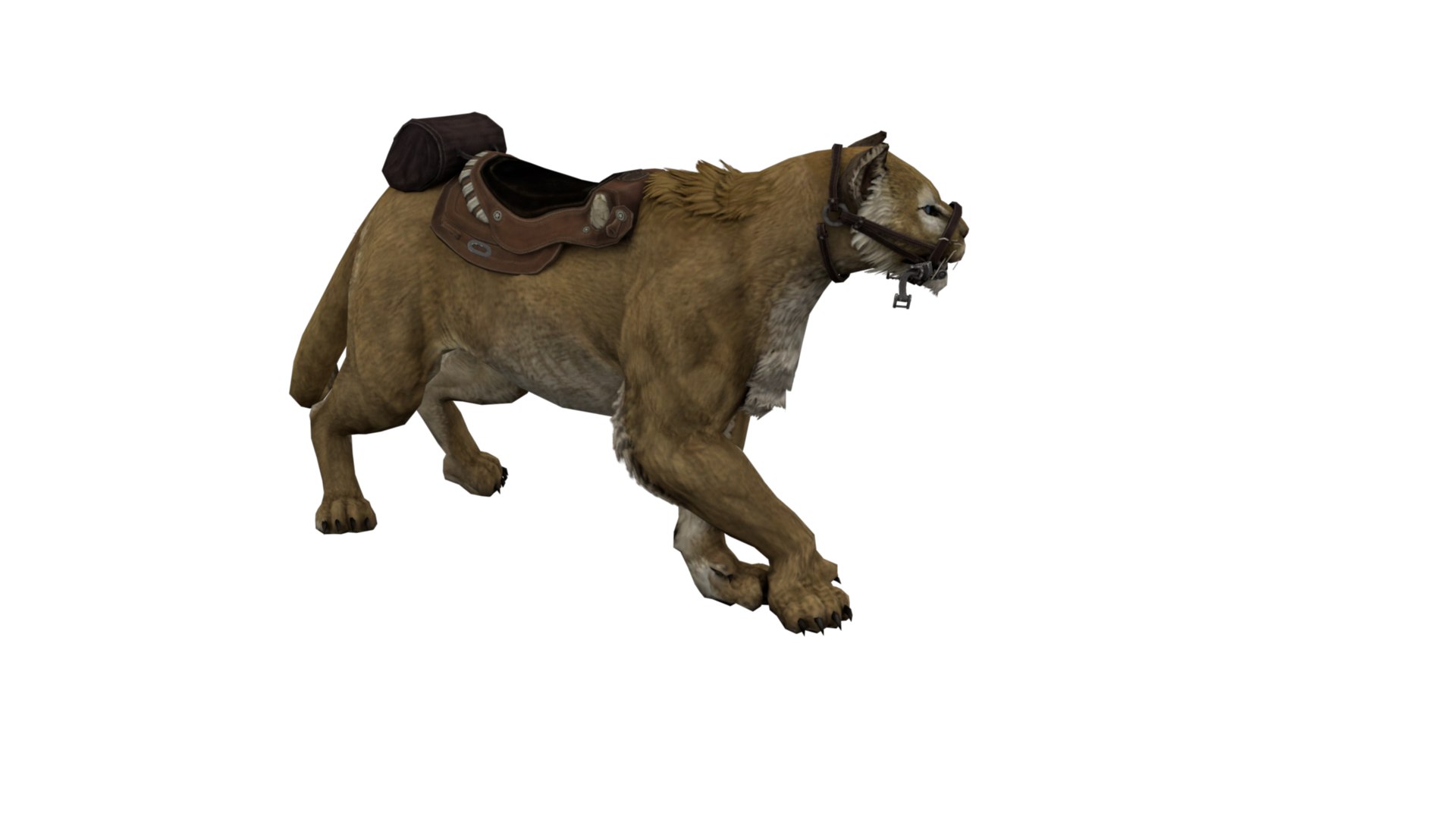 Puma Animated 3D - TurboSquid 2186712