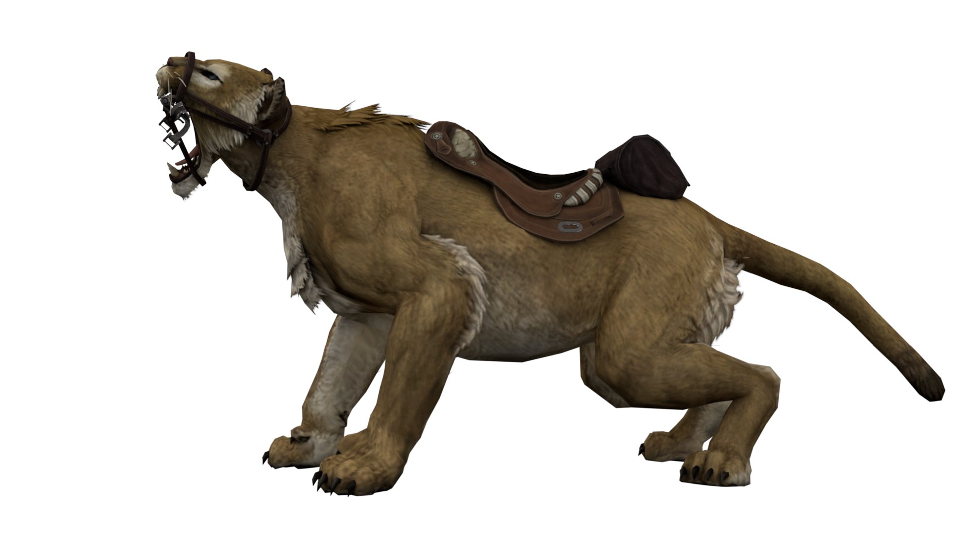 Puma Animated 3D - TurboSquid 2186712