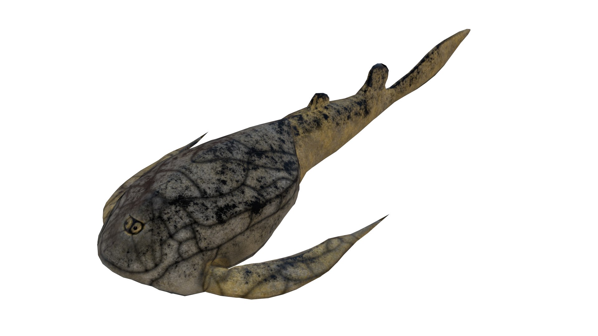 3D Deep Sea Fish 3D Model - TurboSquid 2311293