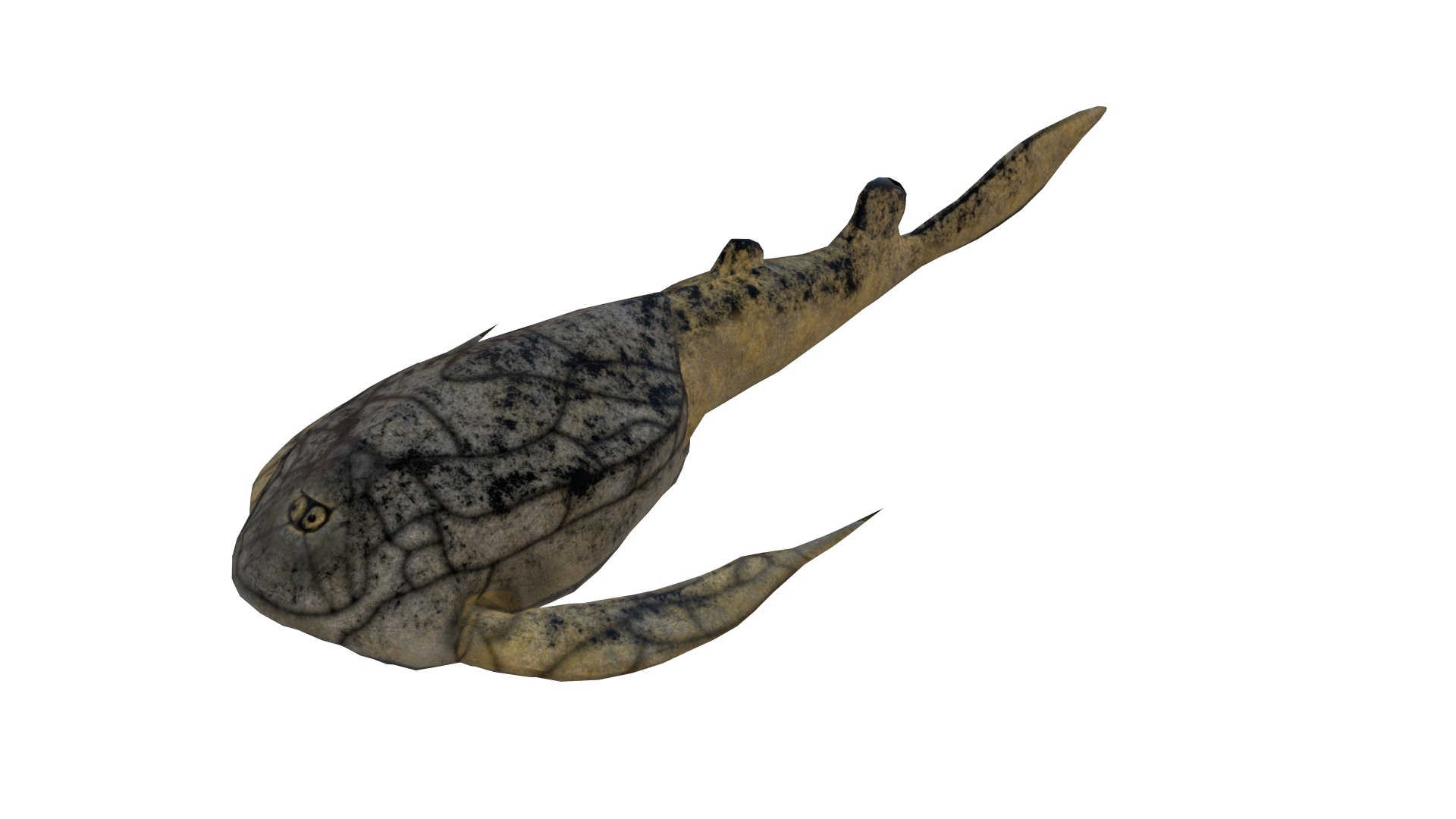 3D Deep Sea Fish 3D Model - TurboSquid 2311293