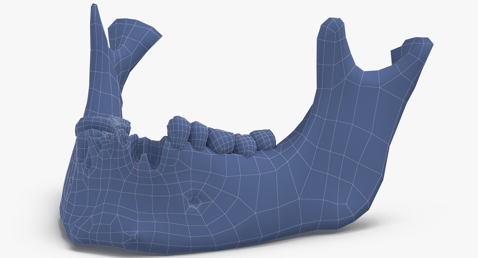 2 Human Jawbones 3D Model - TurboSquid 1499063