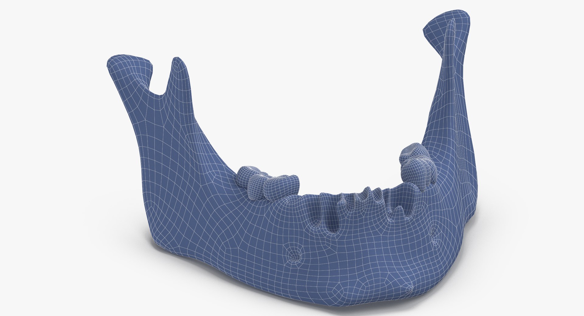 2 Human Jawbones 3D Model - TurboSquid 1499063