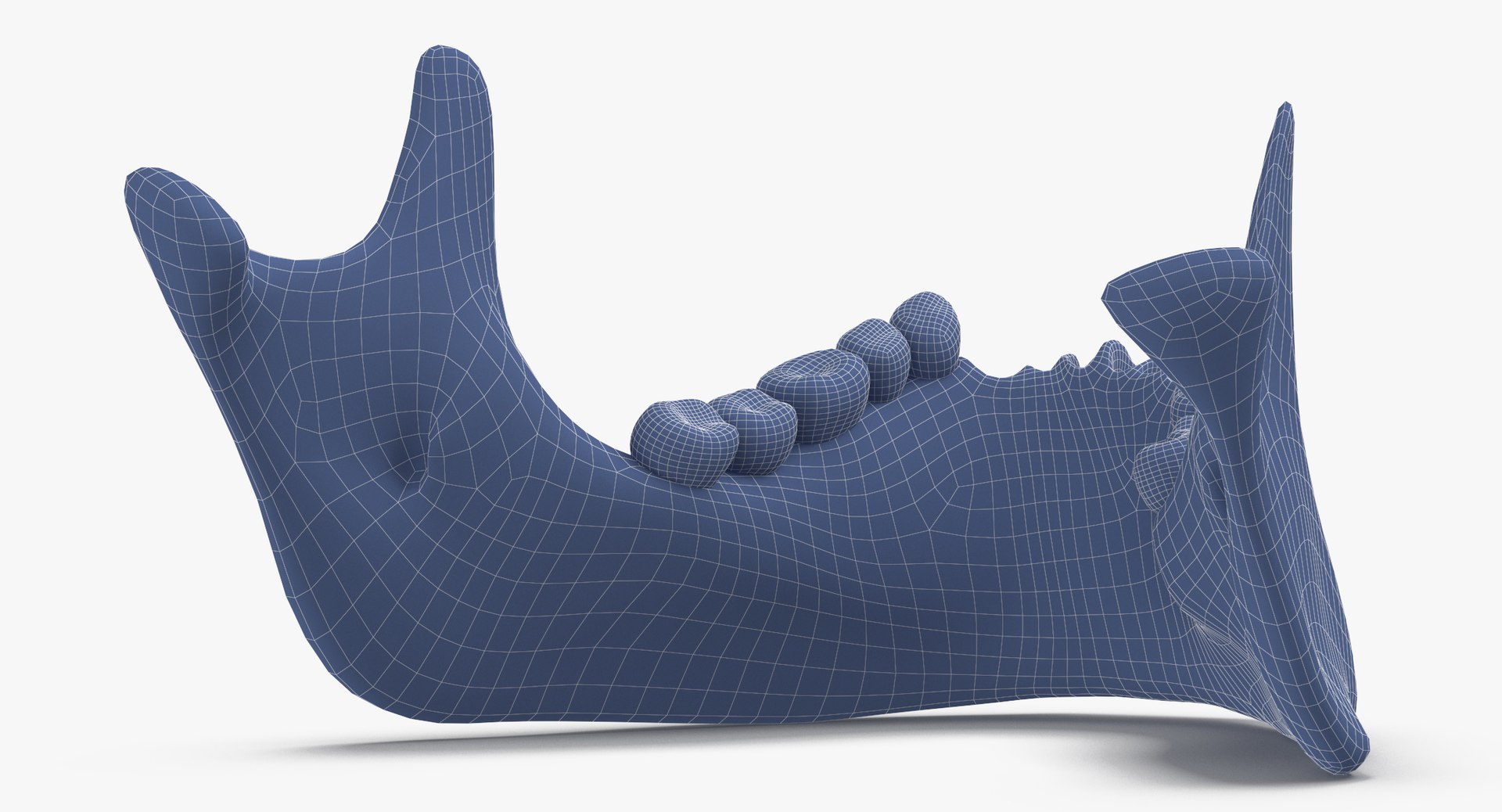 2 Human Jawbones 3D Model - TurboSquid 1499063