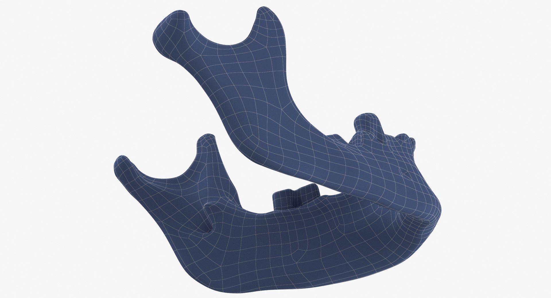 2 Human Jawbones 3D Model - TurboSquid 1499063