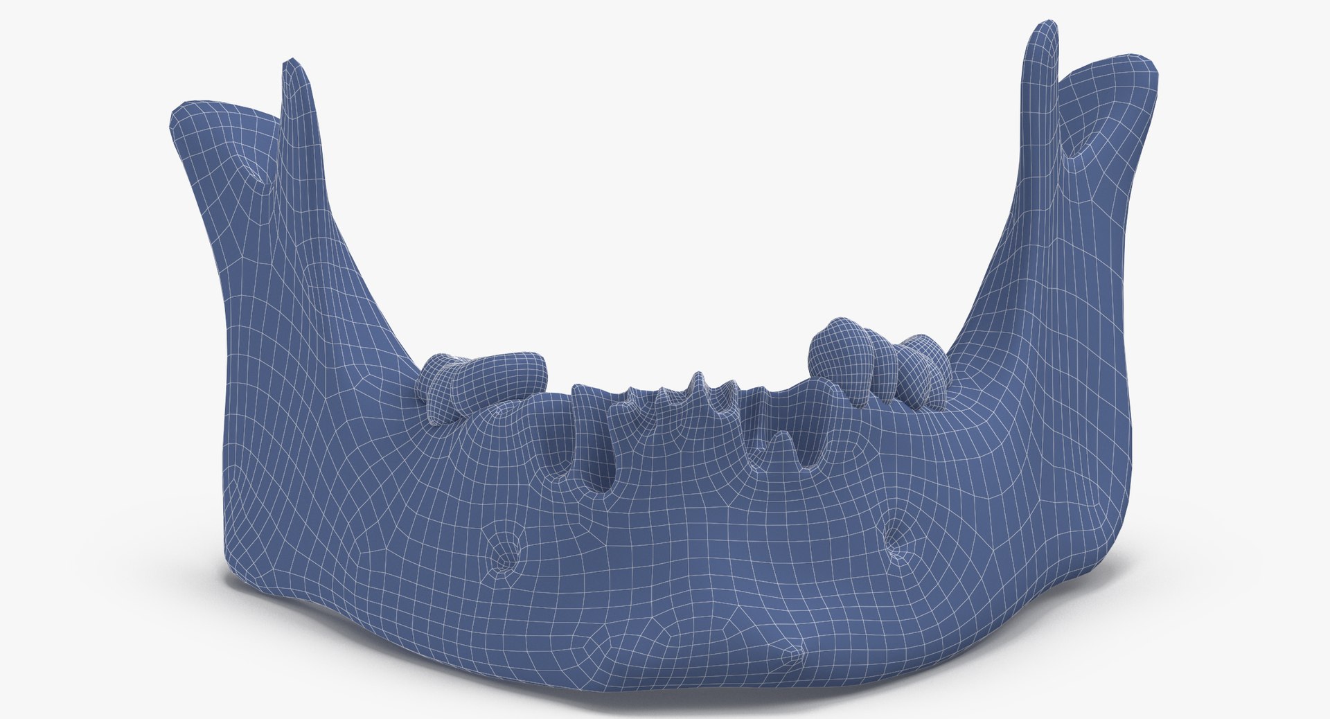 2 Human Jawbones 3D Model - TurboSquid 1499063
