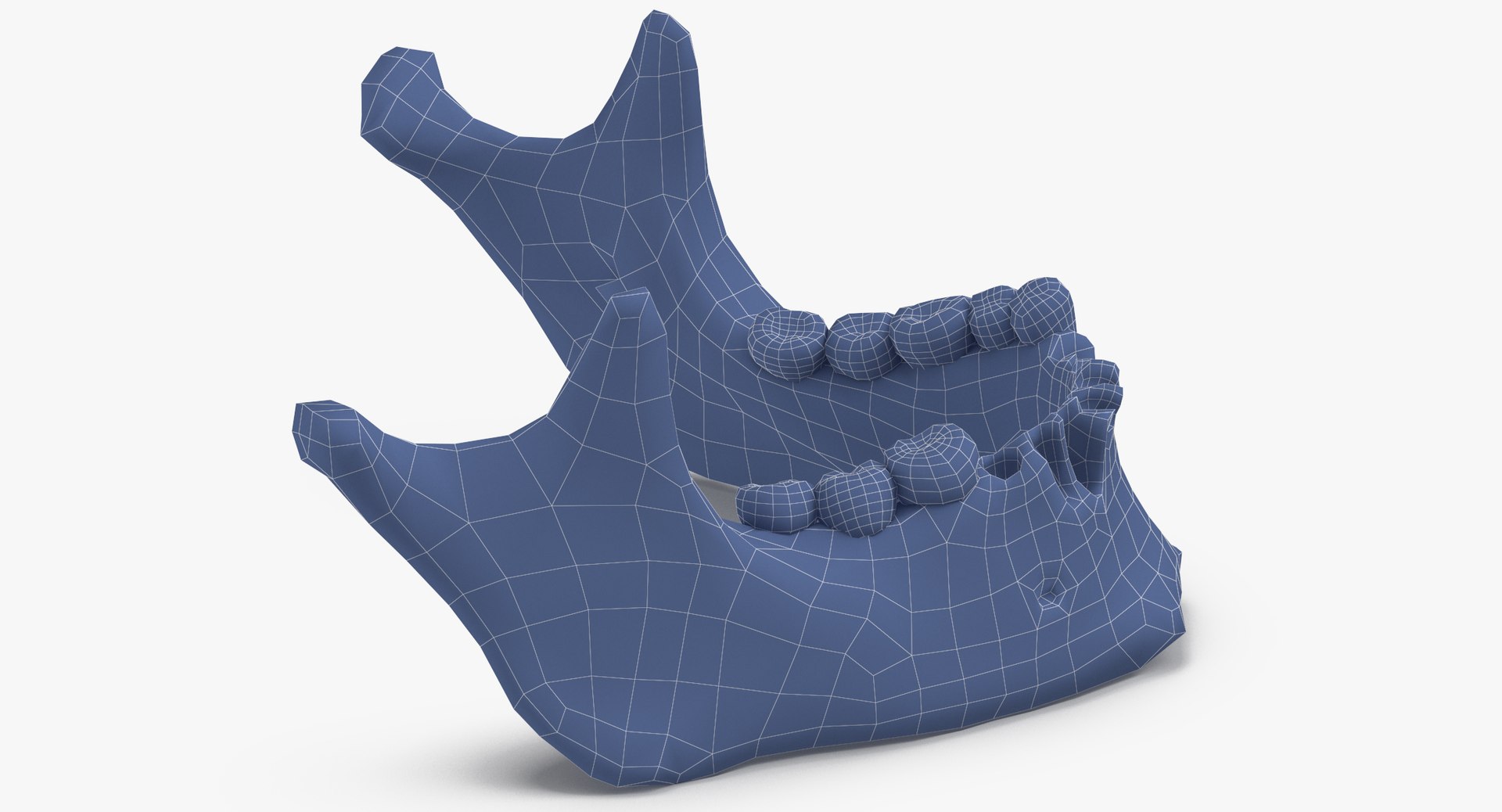 2 Human Jawbones 3D Model - TurboSquid 1499063