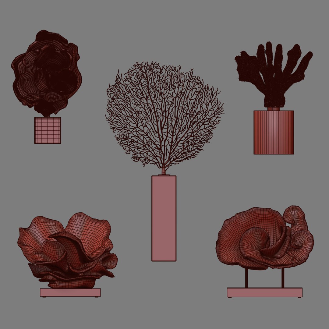 3D Model Coral Set 5 - TurboSquid 1886583
