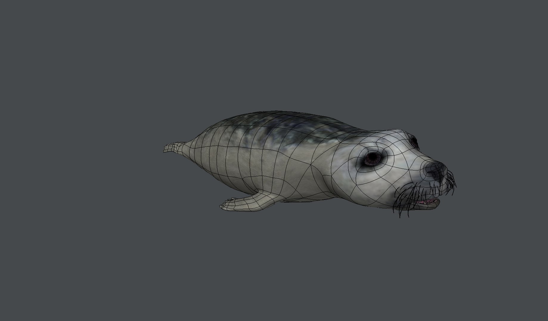 3d seal sea model