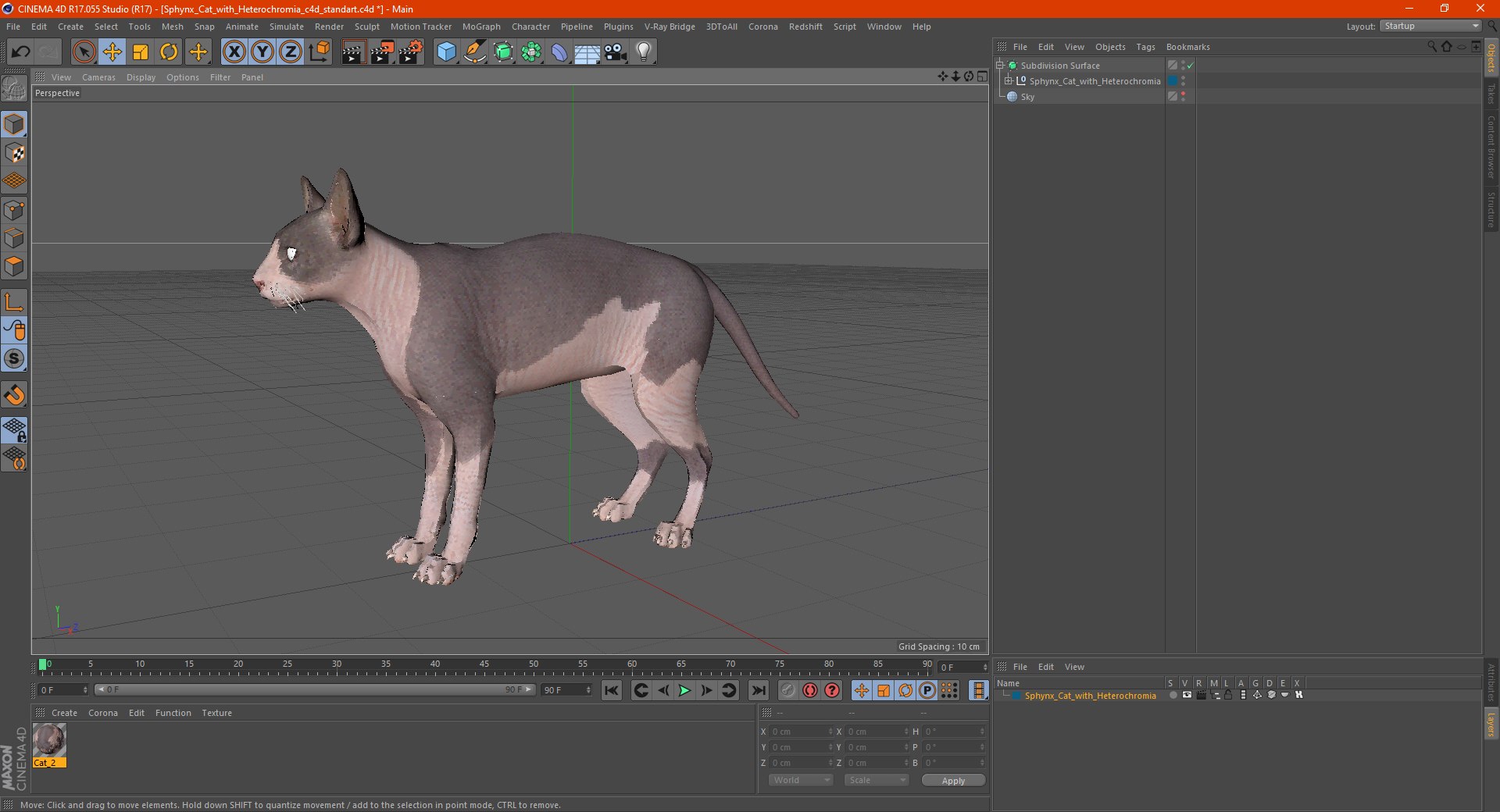 Sphynx cat heterochromia 3D model - TurboSquid 1645958