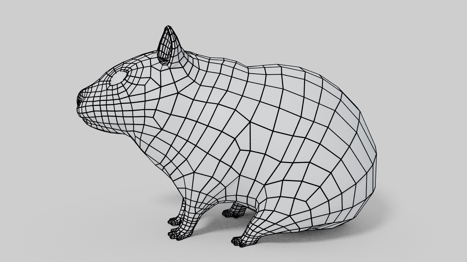 3D Hamster Model 3D - TurboSquid 1906192