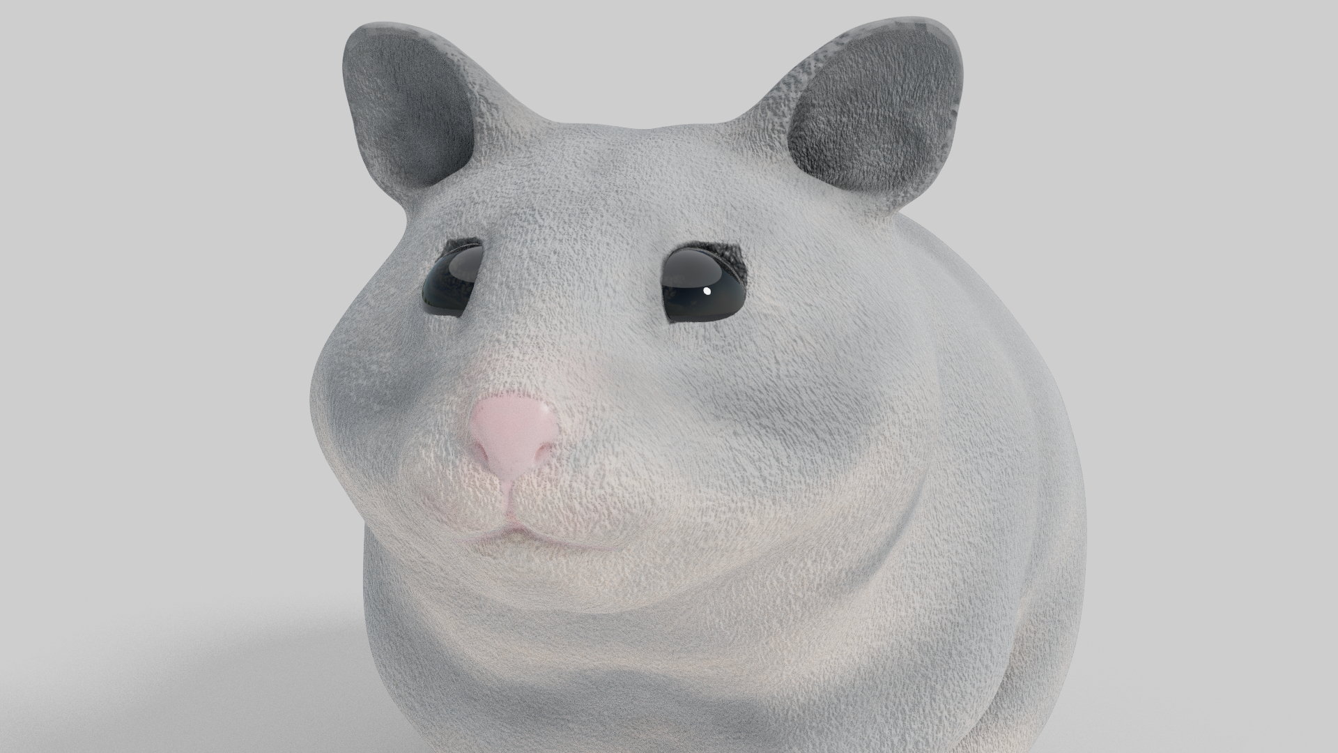 3D Hamster Model 3D - TurboSquid 1906192