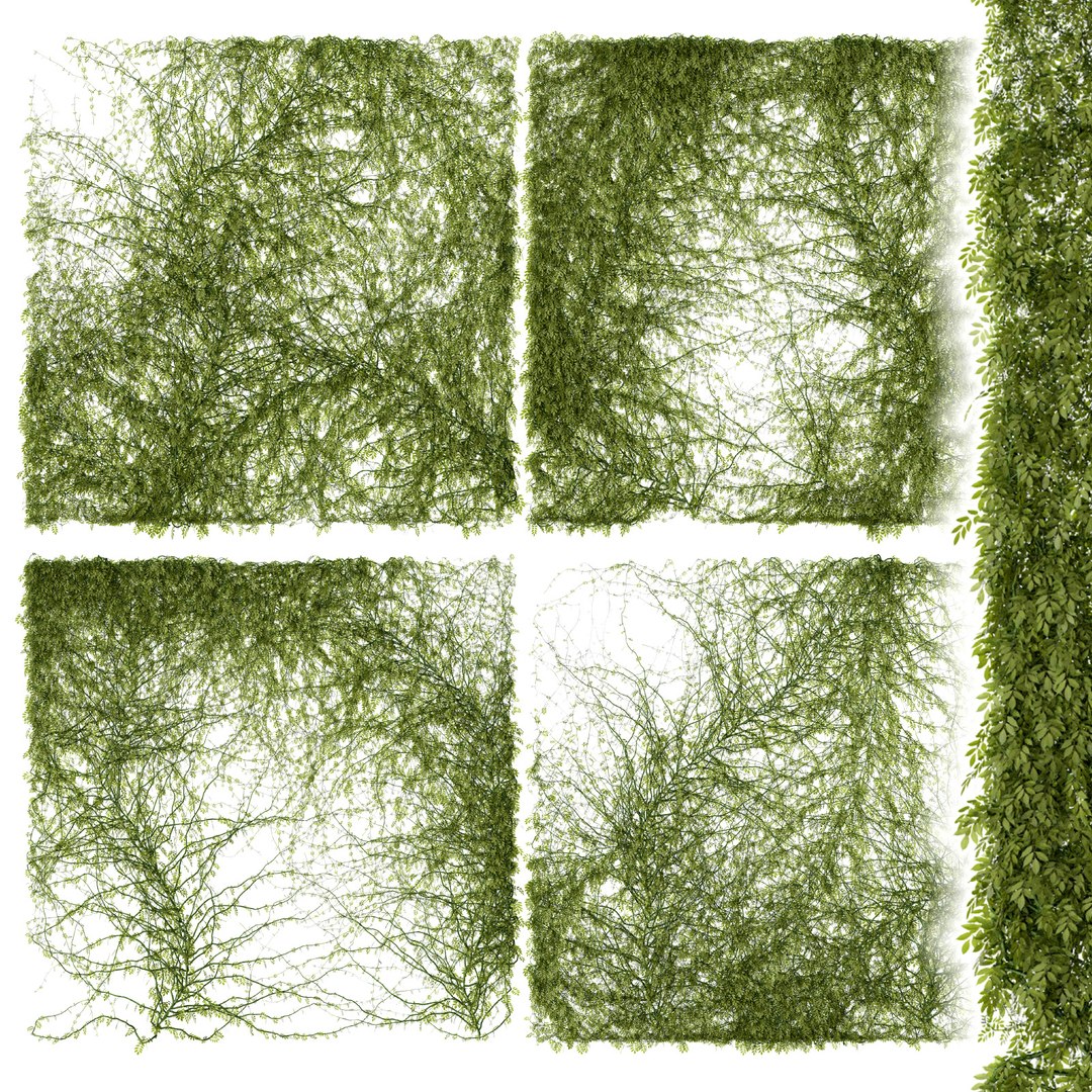 3D Set Walls Vine Model - TurboSquid 1287224