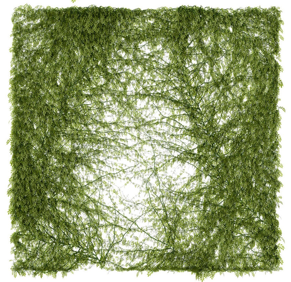 3D Set Walls Vine Model - TurboSquid 1287224
