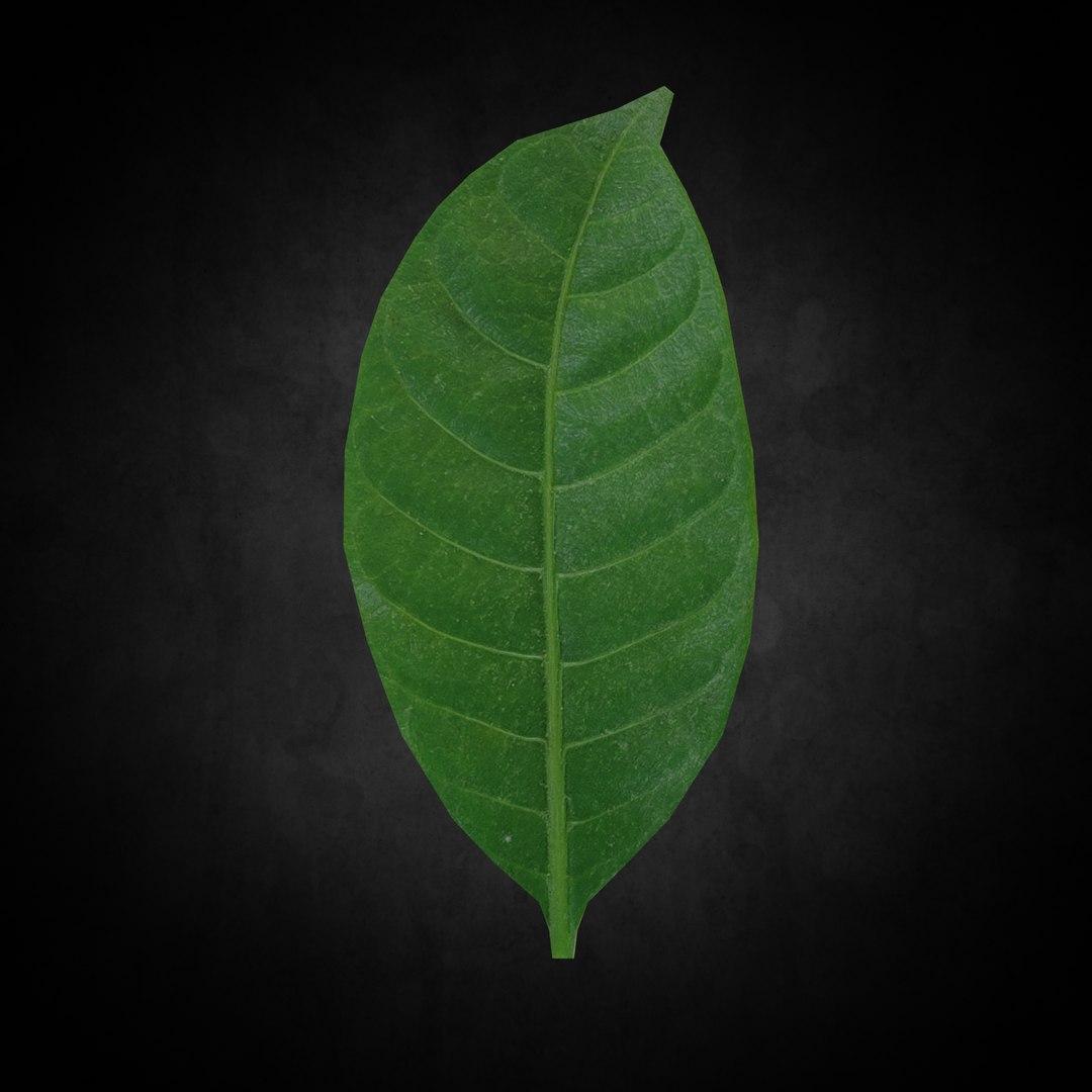3D Low Poly Leaf 085 - TurboSquid 1852553