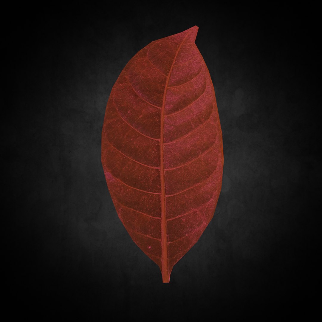 3D Low Poly Leaf 085 - TurboSquid 1852553