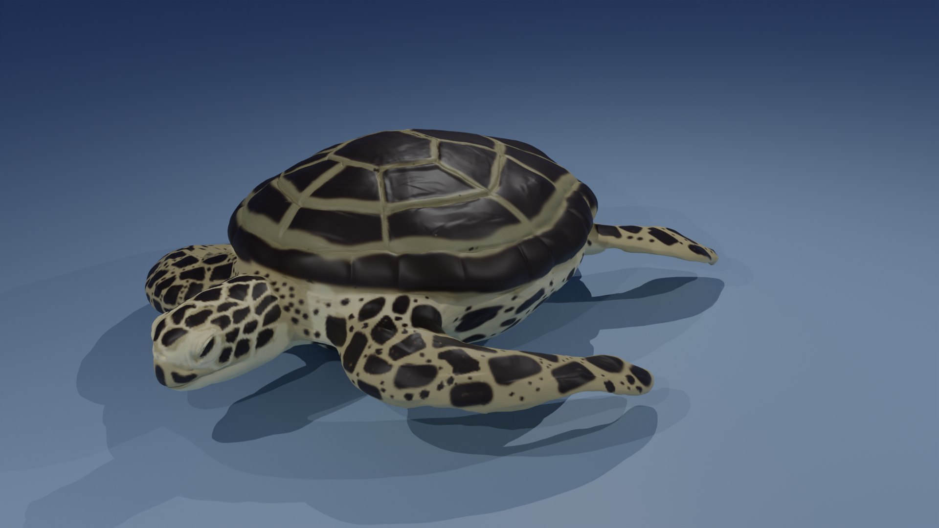 3D Turtle high poly - TurboSquid 2089112