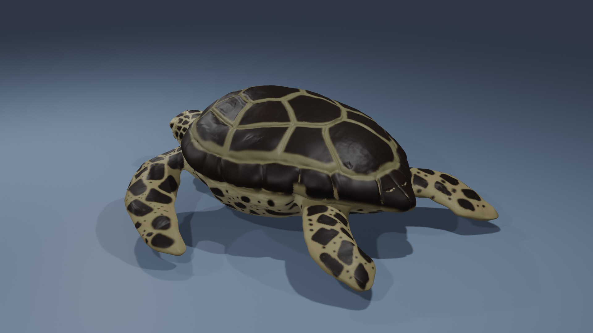 3D Turtle high poly - TurboSquid 2089112