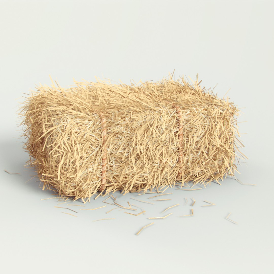 3D Model Hay Bale - TurboSquid 1403888