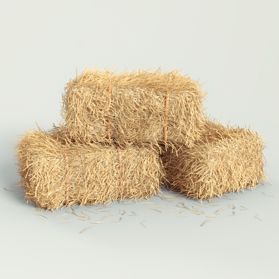 3D Model Hay Bale - TurboSquid 1403888