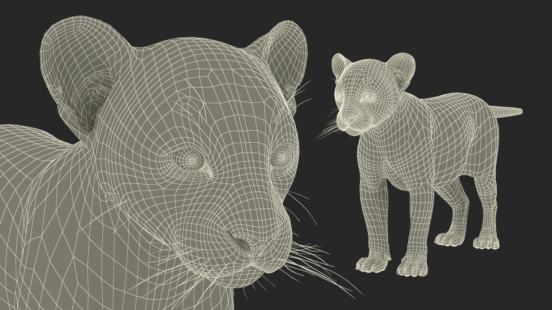 Panther Cub Rigged For Cinema 4D 3D Model - TurboSquid 2377345