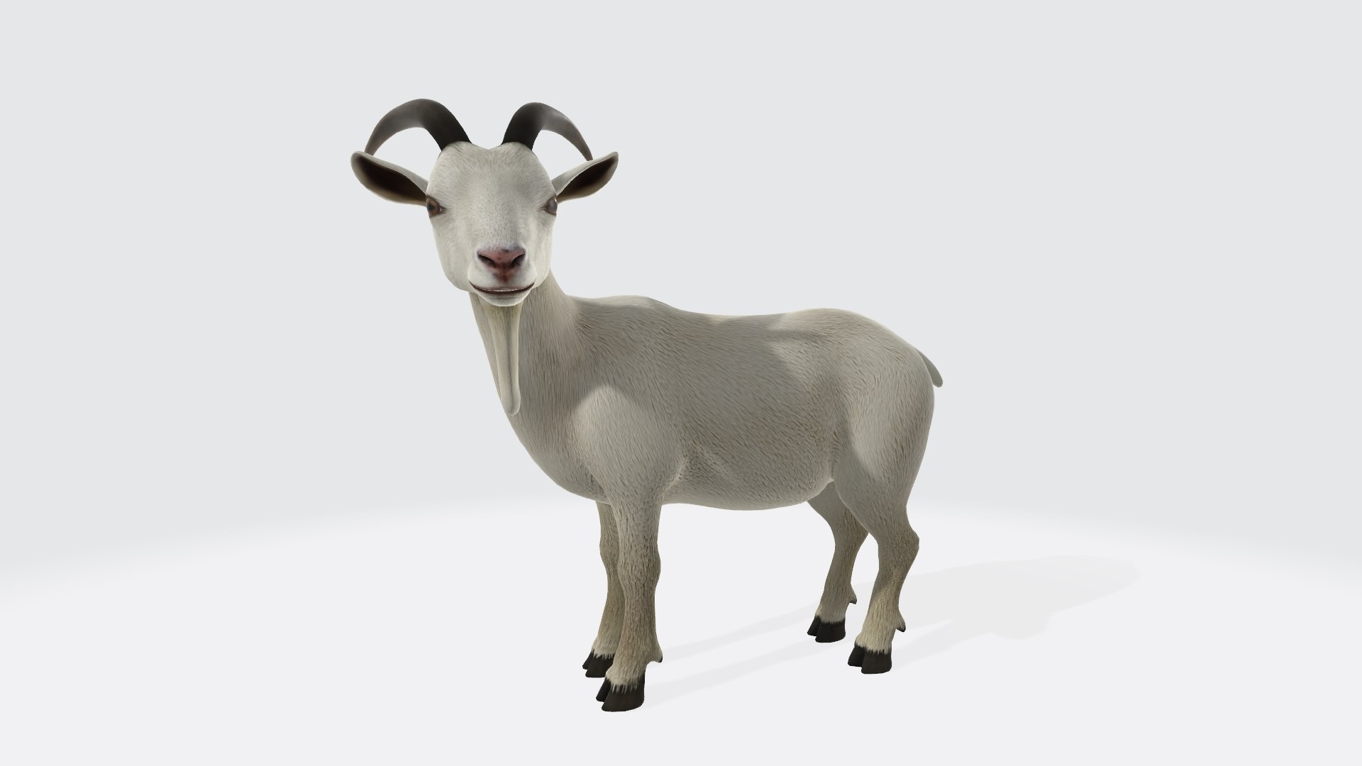 3D Goat Animal Figure 3D Model Ready To Print - TurboSquid 2299293