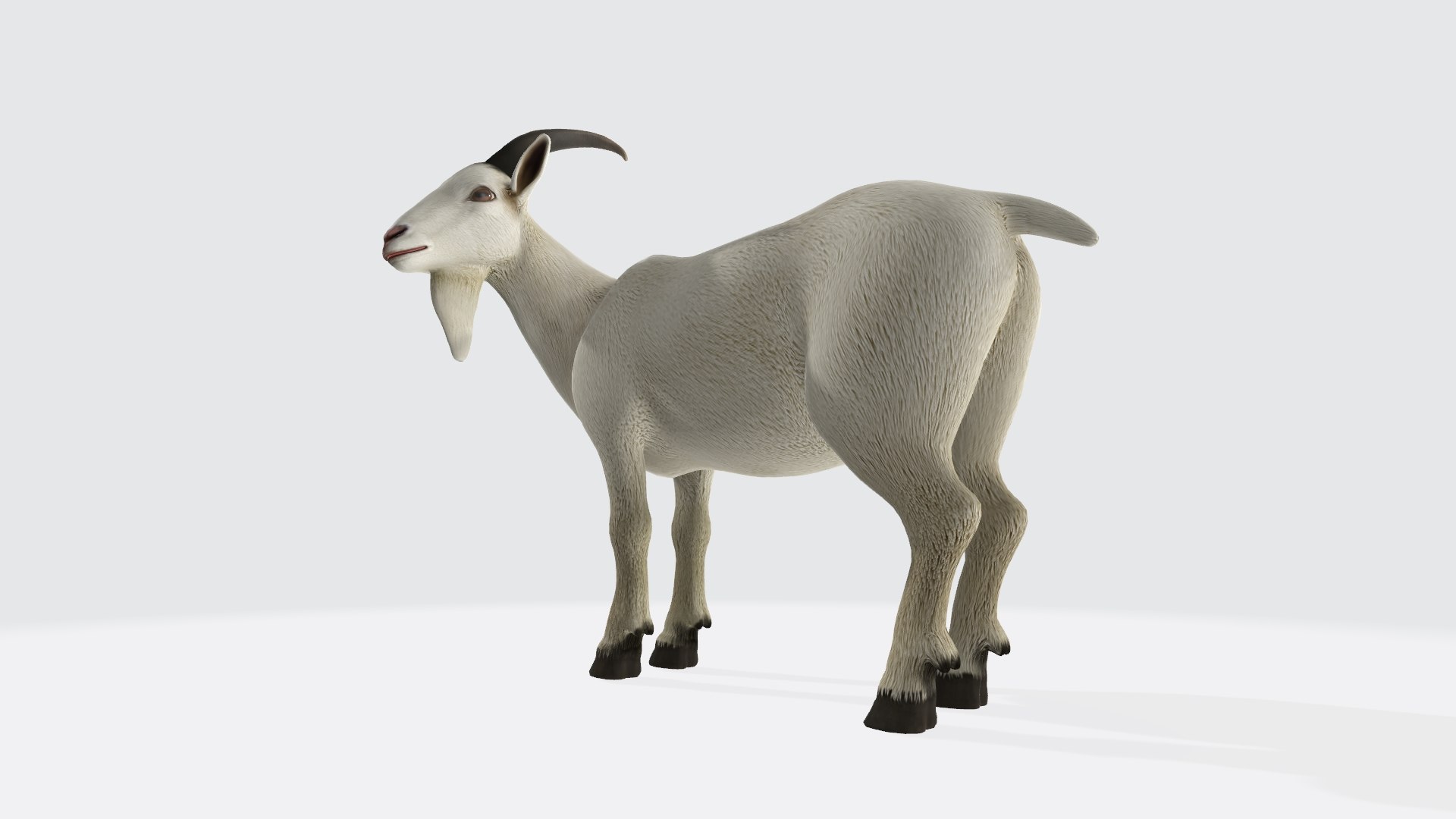 3D Goat Animal Figure 3D Model Ready To Print - TurboSquid 2299293