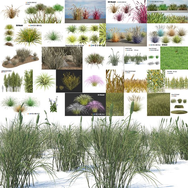 Ornamental Grass STL Models for Download | TurboSquid