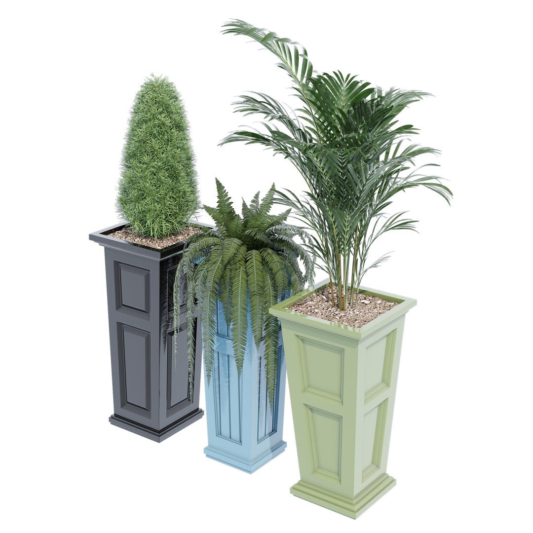 3D Amazon Tall Model - TurboSquid 1968830