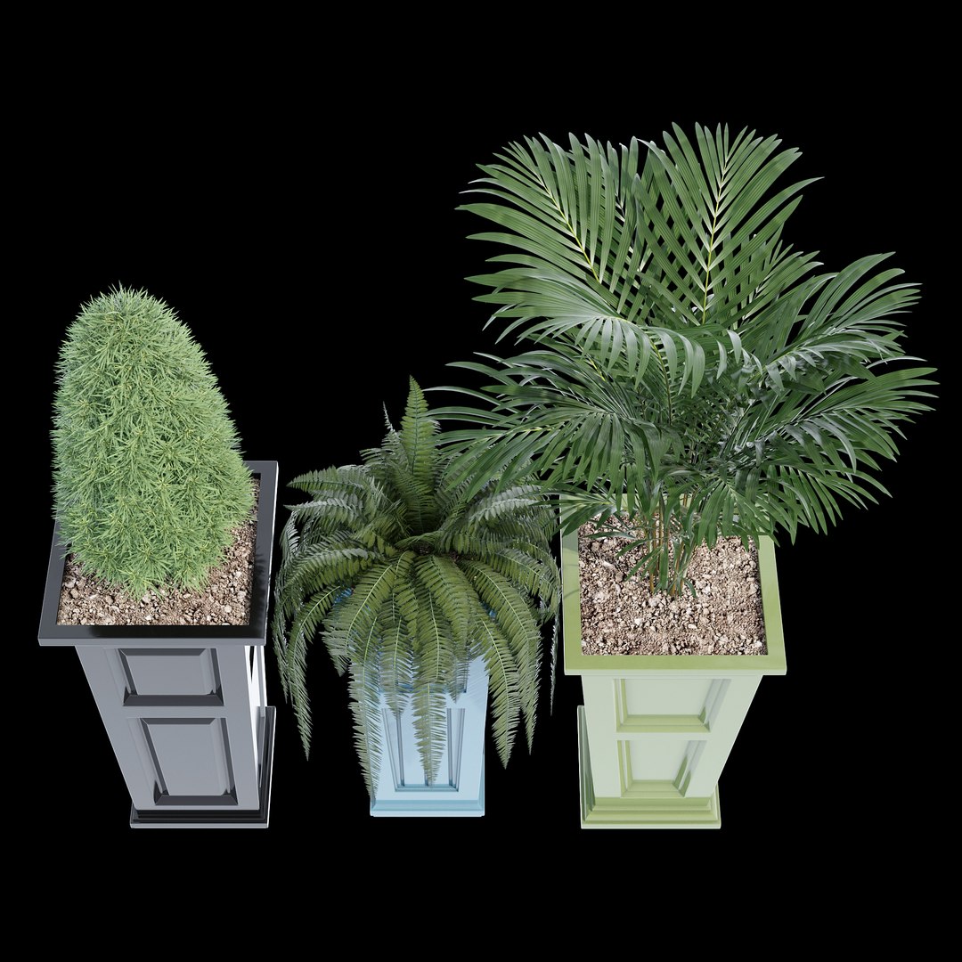 3D Amazon Tall Model - TurboSquid 1968830