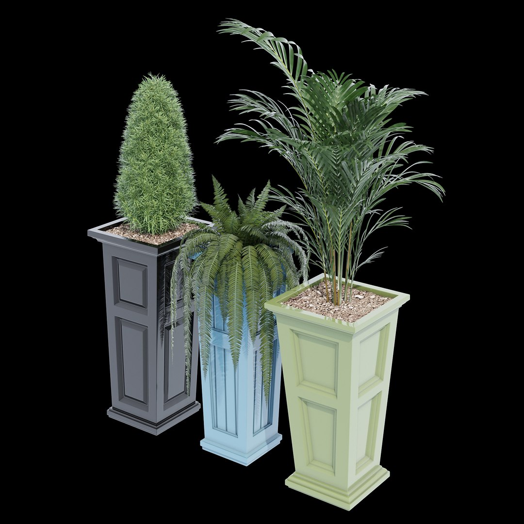 3D Amazon Tall Model - TurboSquid 1968830