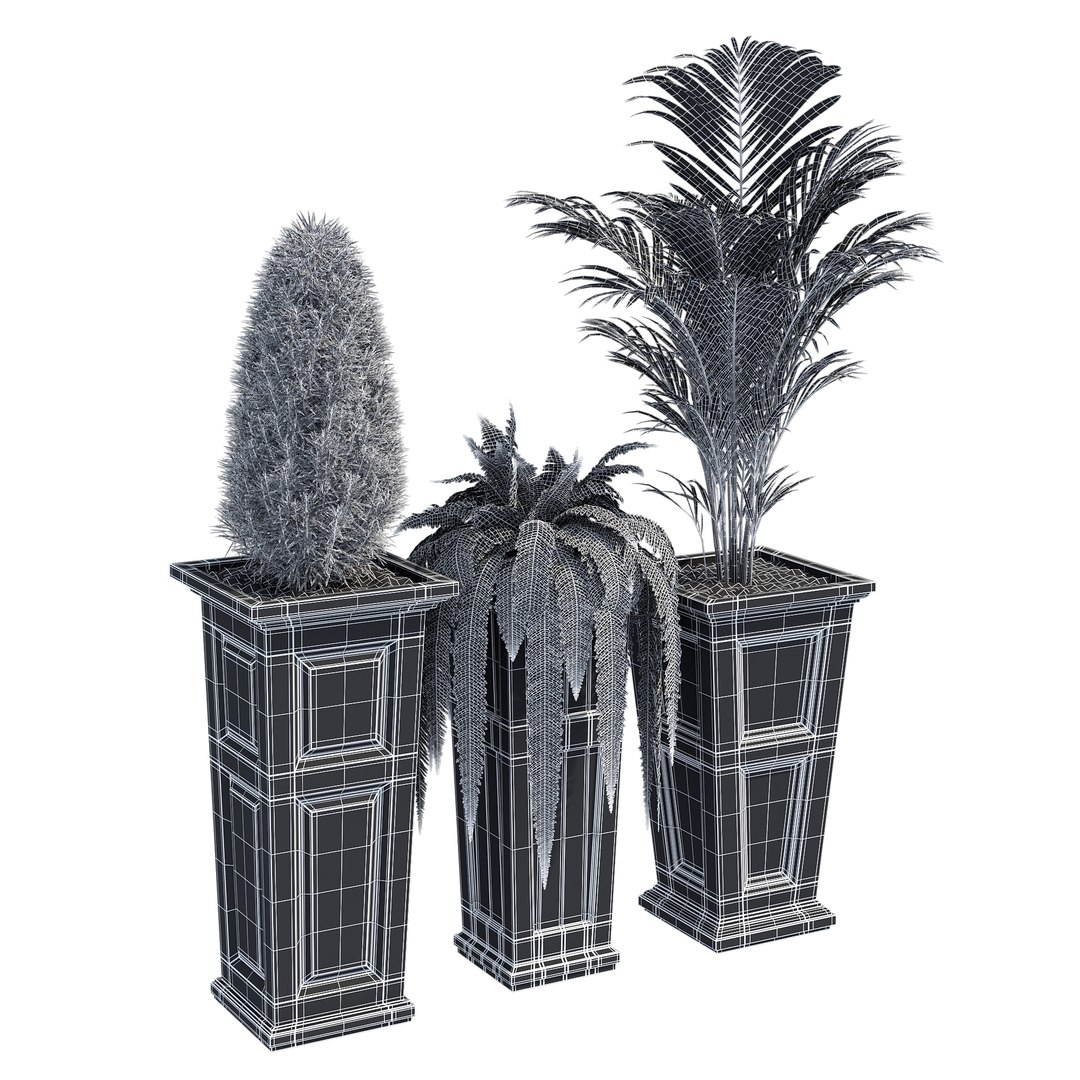 3D Amazon Tall Model - TurboSquid 1968830