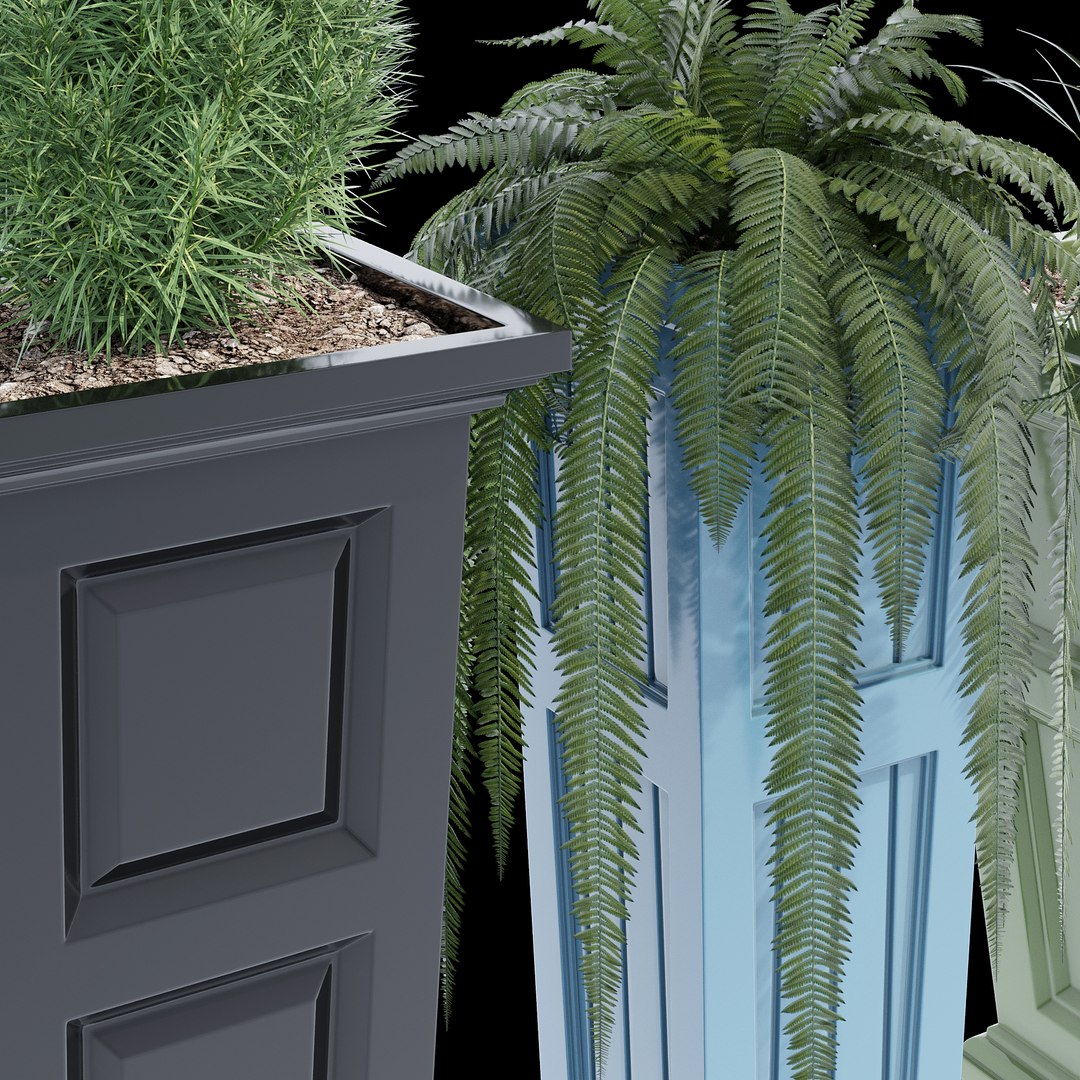 3D Amazon Tall Model - TurboSquid 1968830