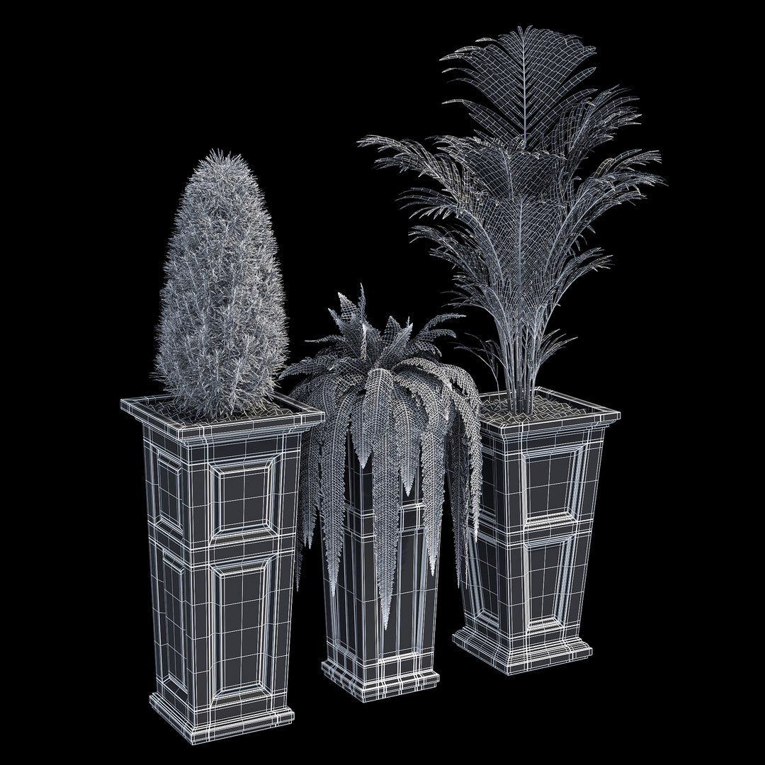 3D Amazon Tall Model - TurboSquid 1968830