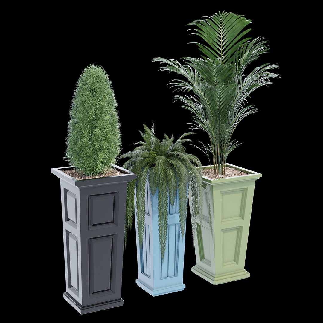 3D Amazon Tall Model - TurboSquid 1968830