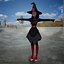 Witch Rigged 3d Obj