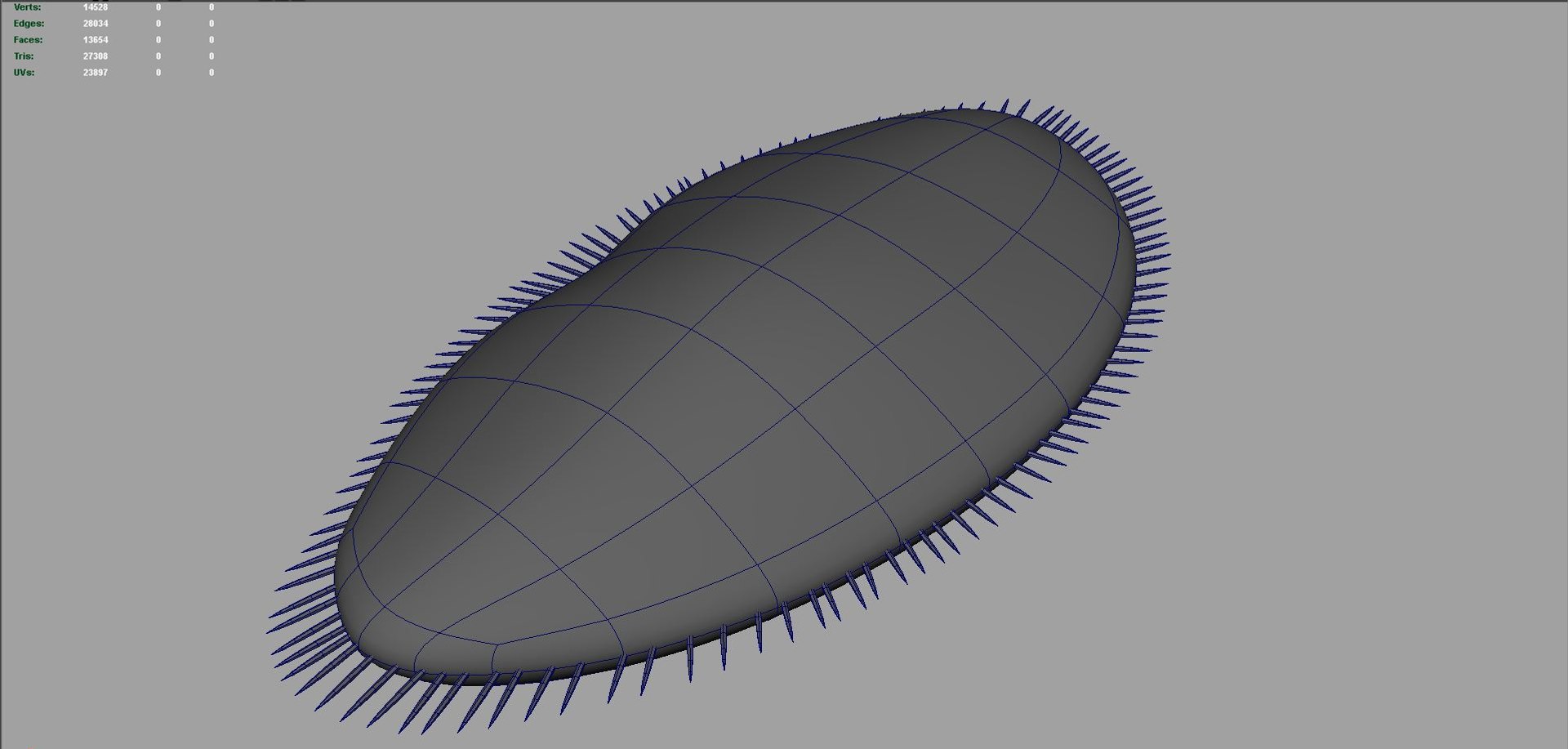 3d Model Opalina