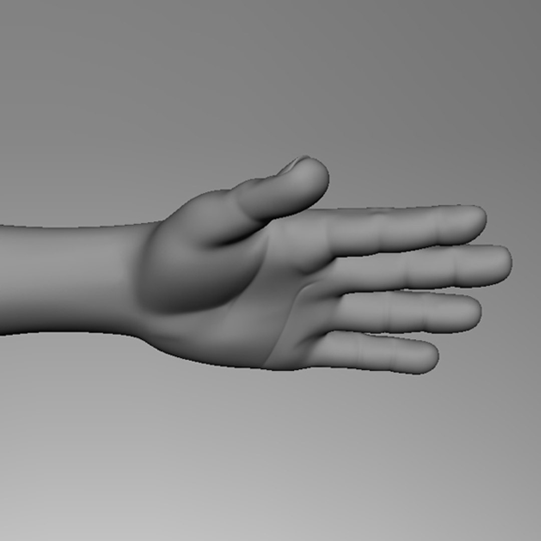 Realistic Human Arm 3d Model
