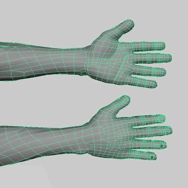 realistic human arm 3d model