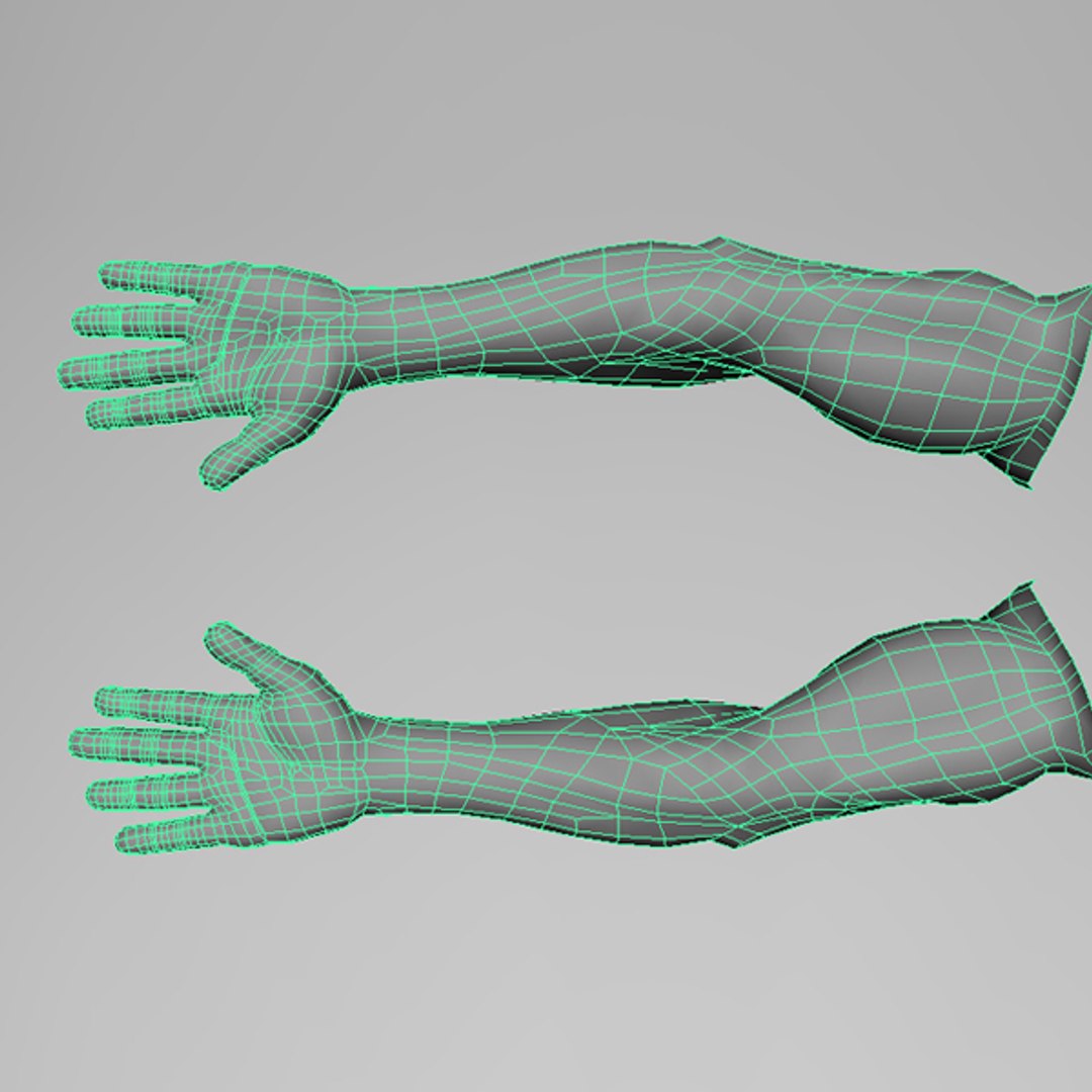 Realistic Human Arm 3d Model