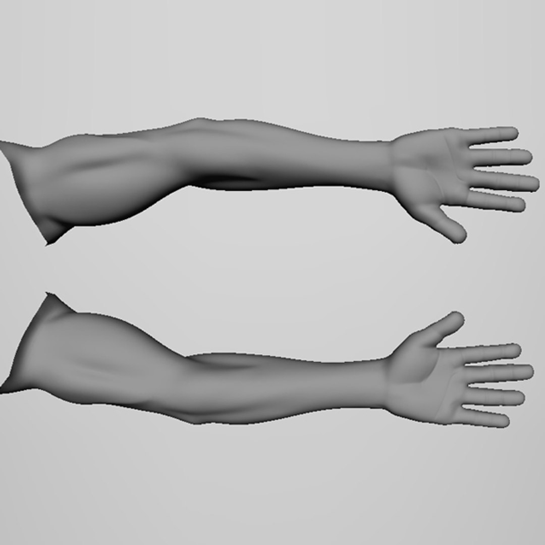 Realistic Human Arm 3d Model