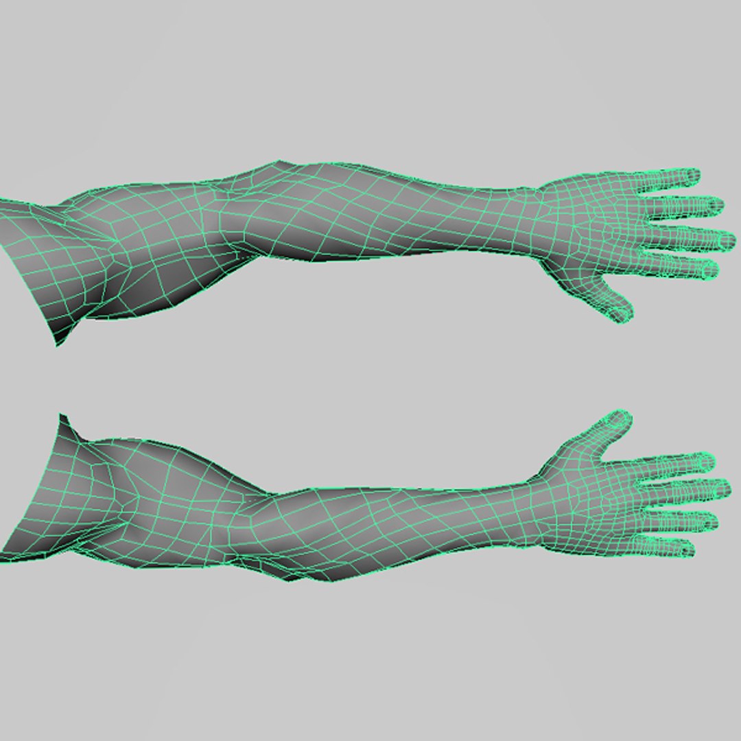 Realistic Human Arm 3d Model