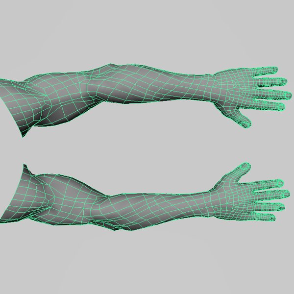 realistic human arm 3d model