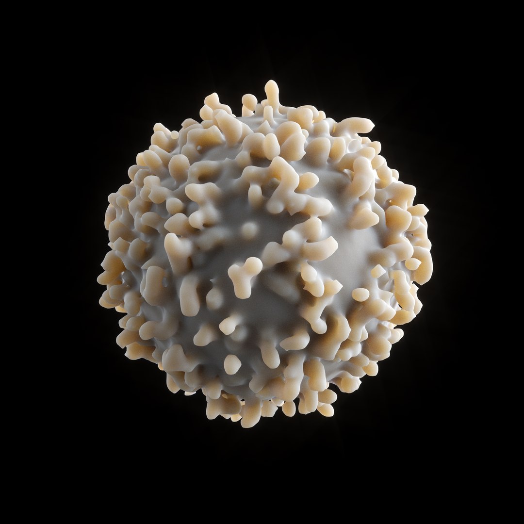 Blood 3D Model - TurboSquid 1347810