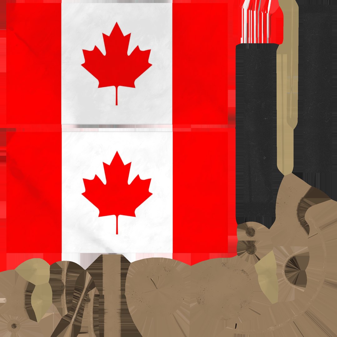 3D Small Country Flags 4K And 2K - TurboSquid 1985221