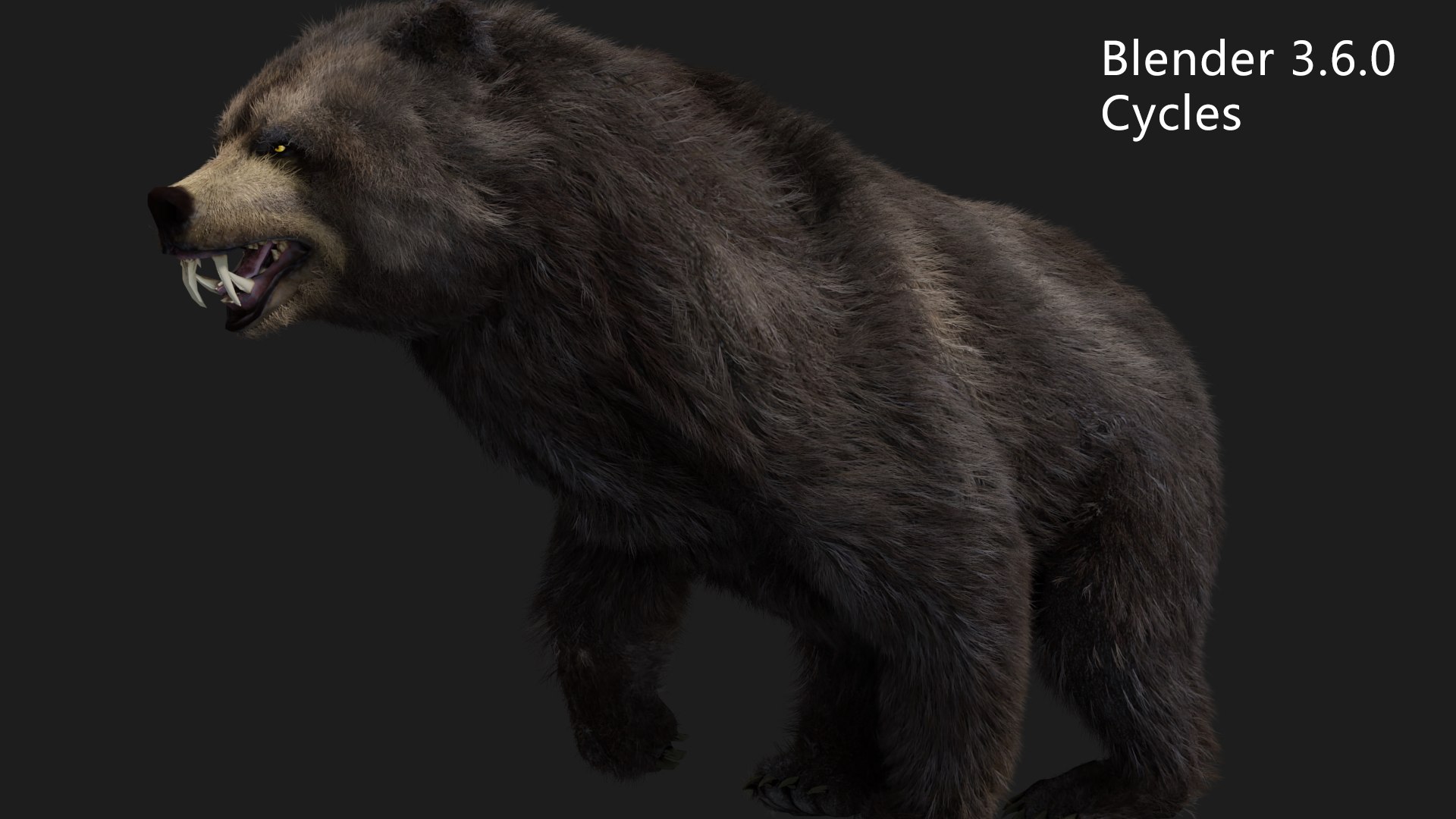 Grizzly Bear Black Bear Model - TurboSquid 2180590