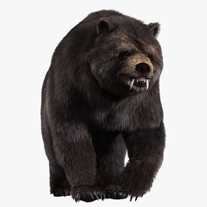 Bear Blender Models for Download | TurboSquid