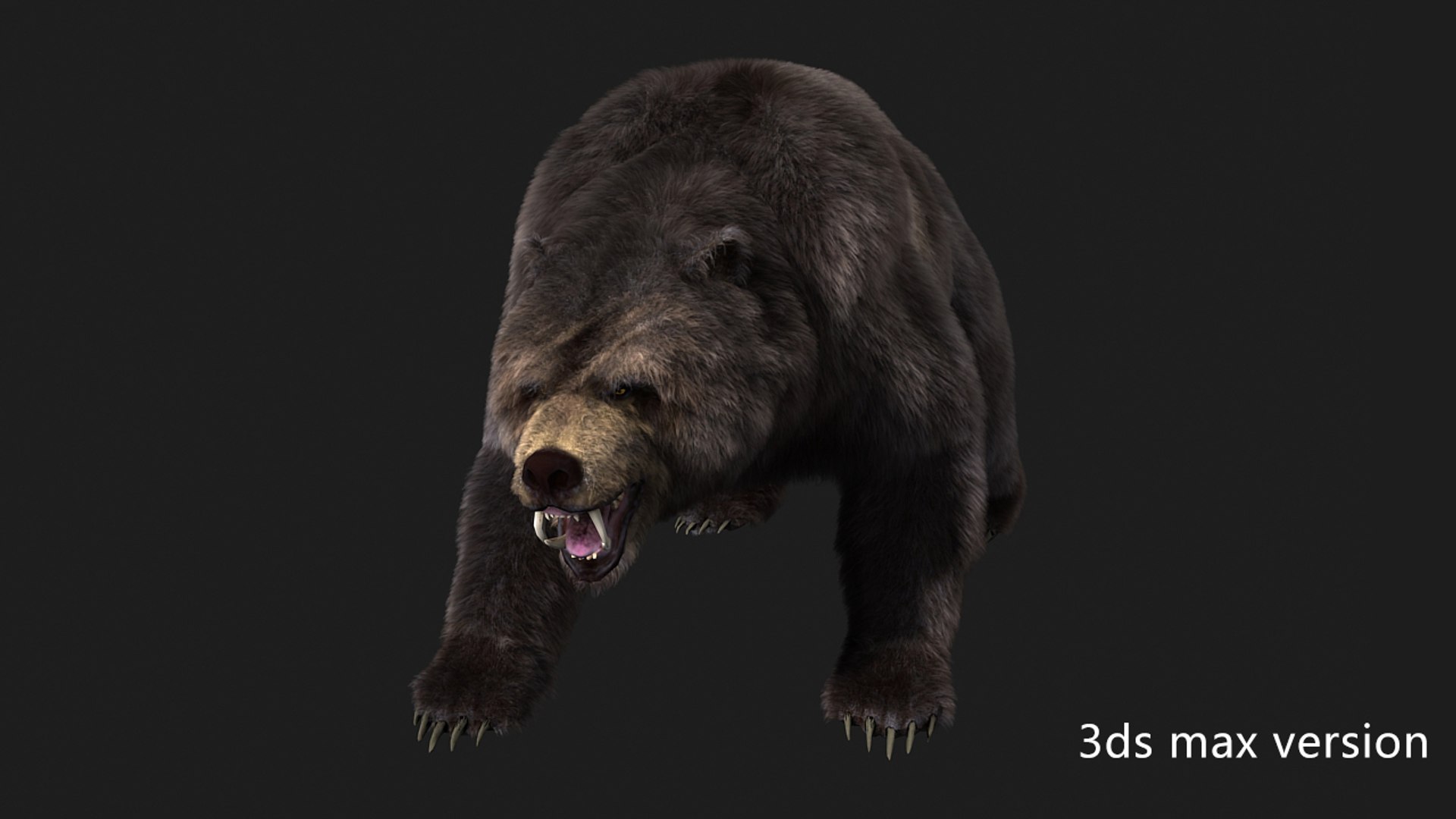 Grizzly Bear Black Bear Model - TurboSquid 2180590
