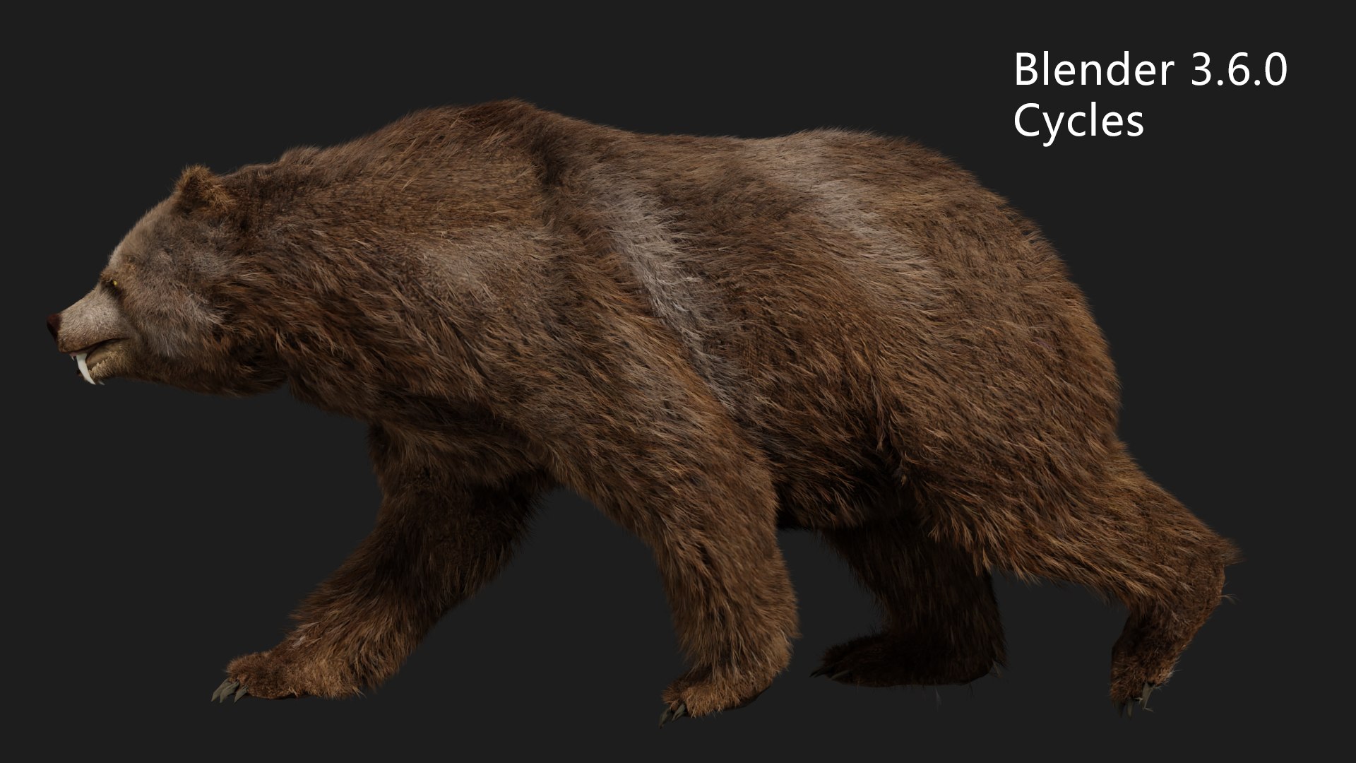 Grizzly bear black bear model - TurboSquid 2180590