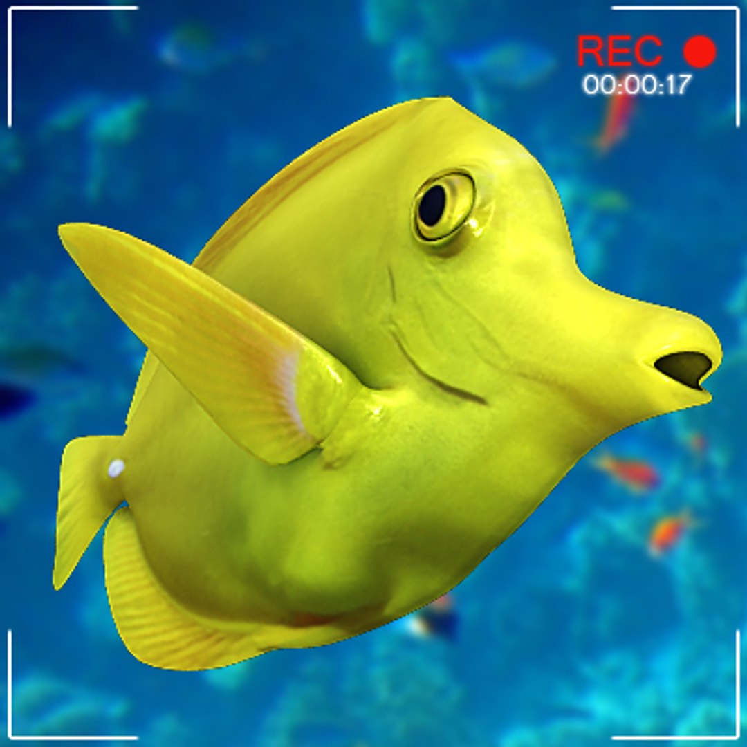 3ds max yellow tang