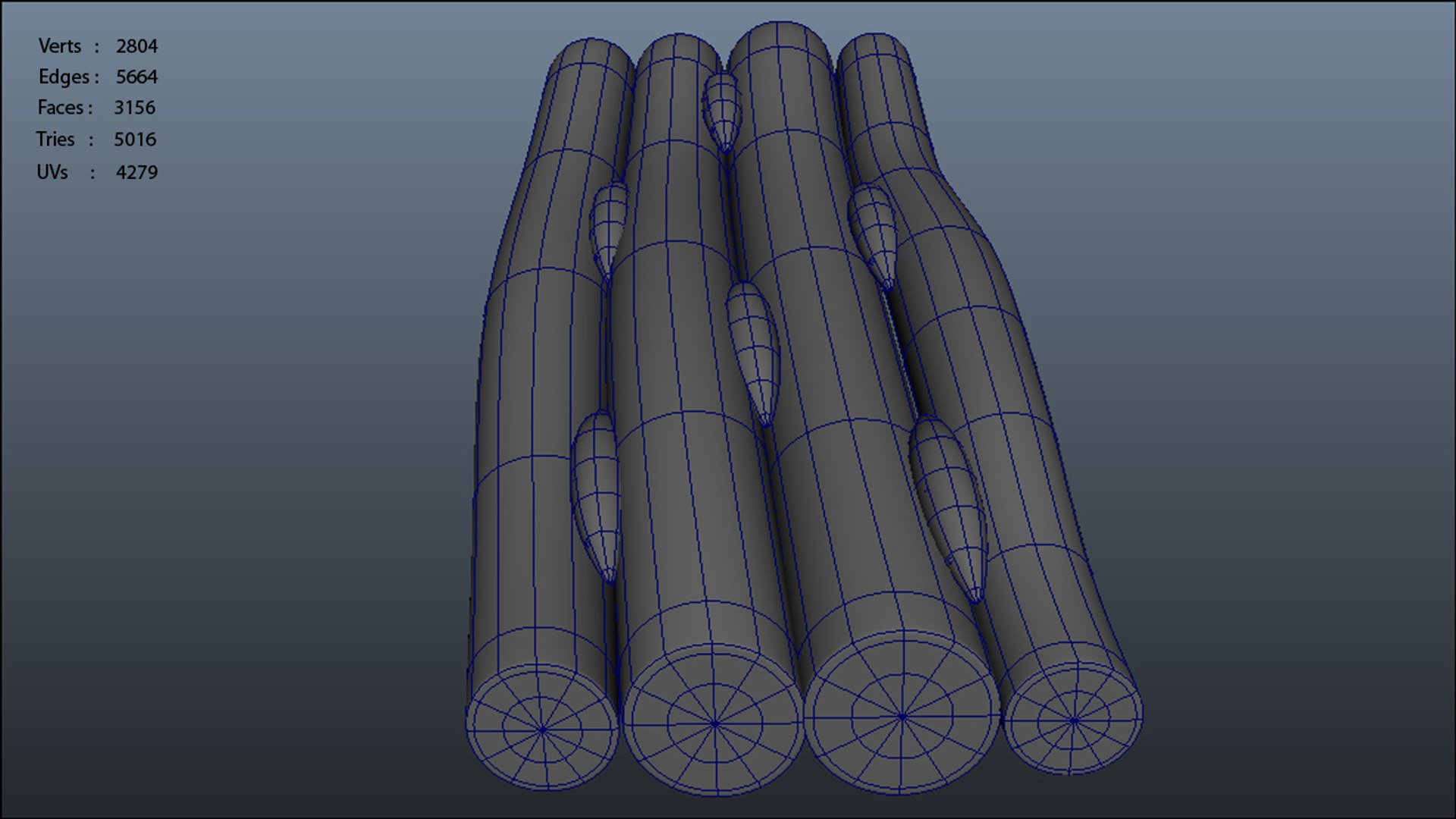 Muscle Tissue 3d Model